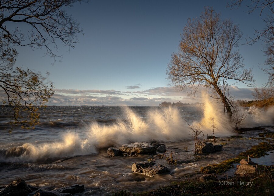 Morning Crash by Dan Fleury Wall Art